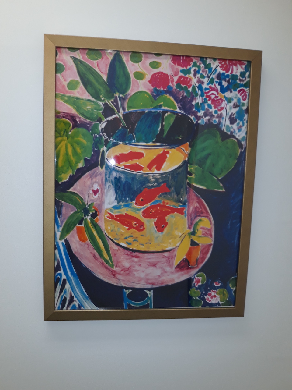 Gallery – Premier Counseling and Psychotherapy